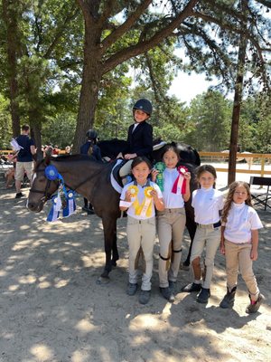 CAROUSEL FARM - Updated July 2025 - Request Information - 7 Downs Rd ...