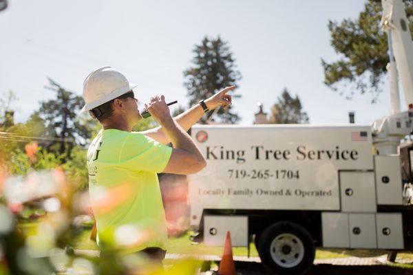 KING TREE SERVICE - Updated August 2024 - 33 Photos & 22 Reviews - 4795 ...