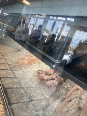 HOLLYWOOD FISH MARKET - Updated January 2026 - 11 Photos & 15 Reviews ...