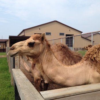 BOULDER RIDGE WILD ANIMAL PARK - Updated September 2024 - 142 Photos ...