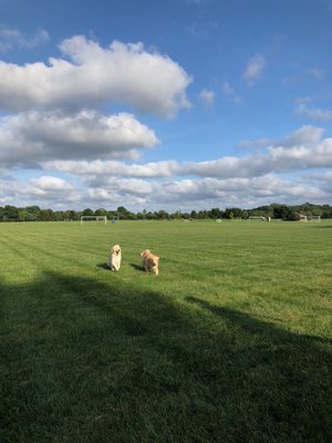 CROSS FARM PARK - Updated October 2025 - 10 Long Bridge Rd, Holmdel ...