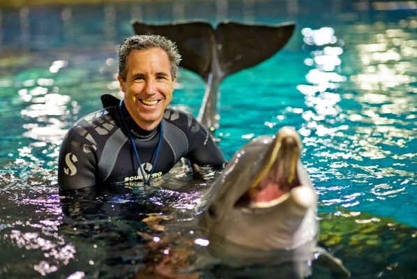 DISNEY’S DOLPHINS IN DEPTH - 200 Epcot Center Dr, Orlando, Florida ...