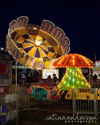 LOUDOUN COUNTY FAIR - Festivals - 17558 Dry Mill Rd, Leesburg, VA - Yelp