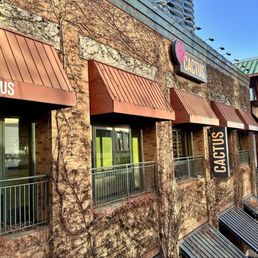 CACTUS RESTAURANTS - Updated December 2025 - 1444 Photos & 1263 Reviews ...