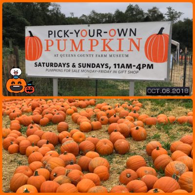 QUEENS COUNTY FARM MUSEUM - 893 Photos & 254 Reviews - Museums - 73-50 ...