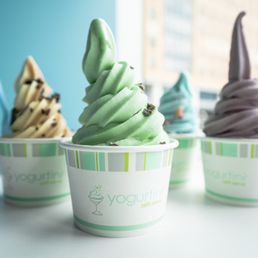 Yogurtini Reviews | Read Customer Service Reviews of yogurtini.com