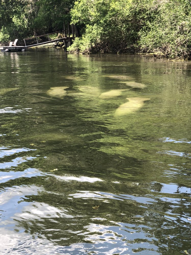 ELLIE RAY’S RV RESORT & LOUNGE - 28 Photos & 23 Reviews - Campgrounds ...