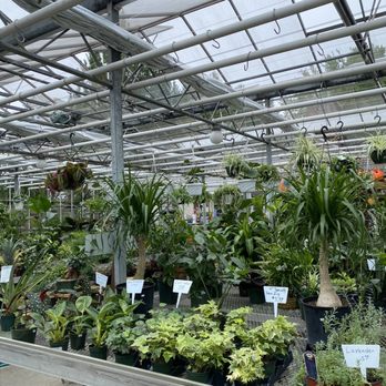 ROSE HILL NURSERIES - Updated October 2025 - 57 Photos & 25 Reviews ...