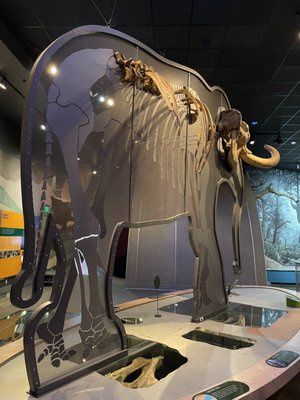 WESTERN SCIENCE CENTER - 220 Photos & 64 Reviews - 2345 Searl Pkwy ...