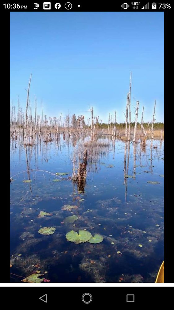 GEORGIA BEAVER REAPERS - Updated September 2025 - Request Information ...