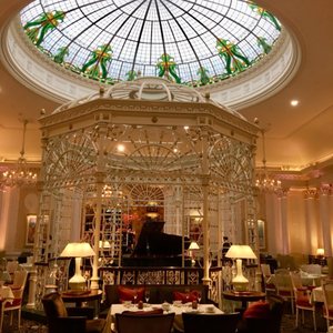 Candella Tea Room - 152 Photos & 81 Reviews - Tea Rooms - 34 Kensington ...