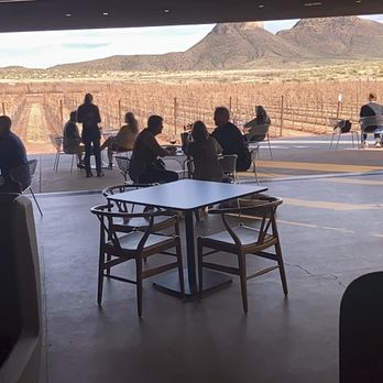 LOS MILICS VINEYARDS - Updated September 2024 - 164 Photos & 61 Reviews ...