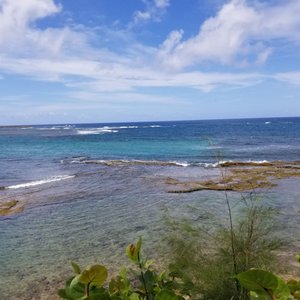 THE REEF BAR - 59 Photos & 21 Reviews - Bars - Carretera 187, Pinones ...