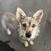 HUMANE SOCIETY - Updated October 2025 - 17 Photos & 27 Reviews - 4455 ...