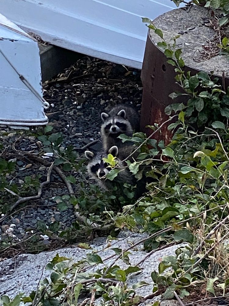 WINTER ISLAND PARK - Updated June 2024 - 164 Photos & 51 Reviews - 50 ...