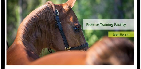 AVALON STABLES - Updated January 2026 - 44 Photos - 18029 Lake ...