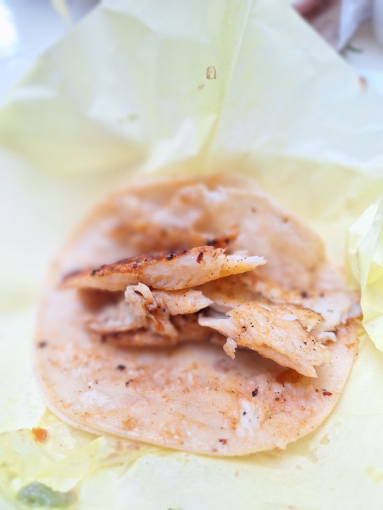 THE ORIGINAL TACO FACTORY - Updated July 2025 - 639 Photos & 904 ...