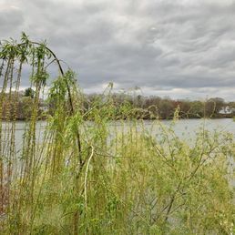 TWIN OAKS RESTAURANT - Updated April 2025 - 538 Photos & 561 Reviews ...