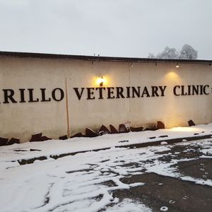 SWANN ANIMAL CLINIC AT 45TH - Updated December 2025 - 27 Photos & 52 ...