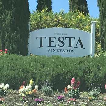 TESTA VINEYARDS - Updated December 2025 - 113 Photos & 49 Reviews ...