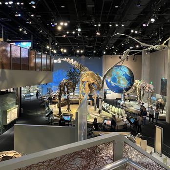 PEROT MUSEUM OF NATURE AND SCIENCE - Updated December 2024 - 2352 ...