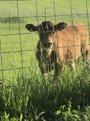 AVISTA UTILITIES - Updated January 2026 - 39 Reviews - 1411 E Mission ...