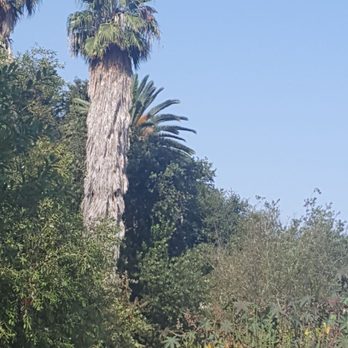 Bluff Trail Park - 61 Photos & 15 Reviews - Parks - 1 W Bluff ...