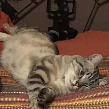 HIGH COUNTRY HUMANE - Updated October 2025 - 24 Photos & 24 Reviews ...