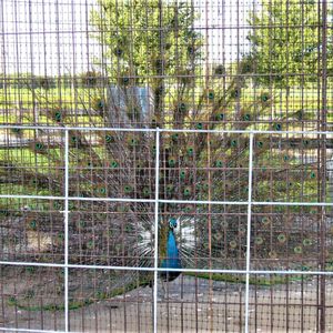 MERRYMEAD FARM - 149 Photos & 173 Reviews - 2222 S Valley Forge Rd ...