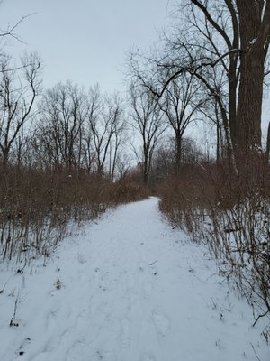 LOSSON PARK - Updated October 2025 - 22 Photos - 8 Park St, Cheektowaga ...