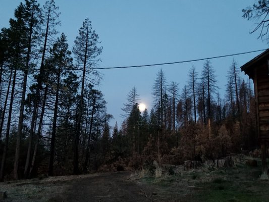 CALVIN CREST CONFERENCES - Updated December 2025 - 13 Photos & 11 ...