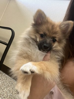 PET RANCH - Updated December 2025 - 39 Photos & 86 Reviews - 3833 E ...