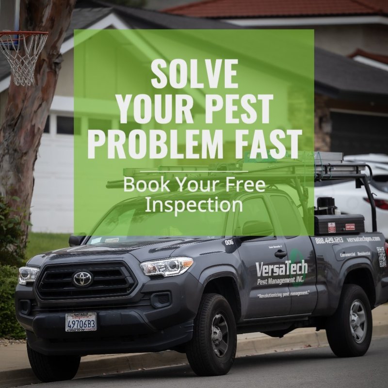 VERSA-TECH PEST MANAGEMENT - Updated November 2024 - 260 Photos & 204 ...
