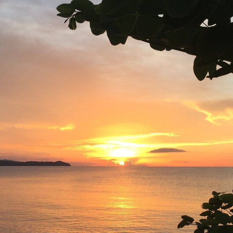 VIP PASSPORT SERVICES - Updated February 2025 - 19 Photos & 13 Reviews ...