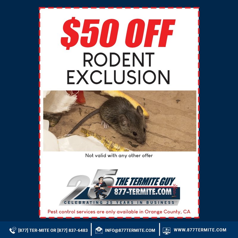 THE TERMITE GUY - Updated July 2025 - 80 Photos & 498 Reviews - 1440 S ...