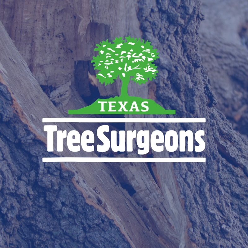 TEXAS TREE SURGEONS - Updated December 2025 - 94 Photos & 131 Reviews ...