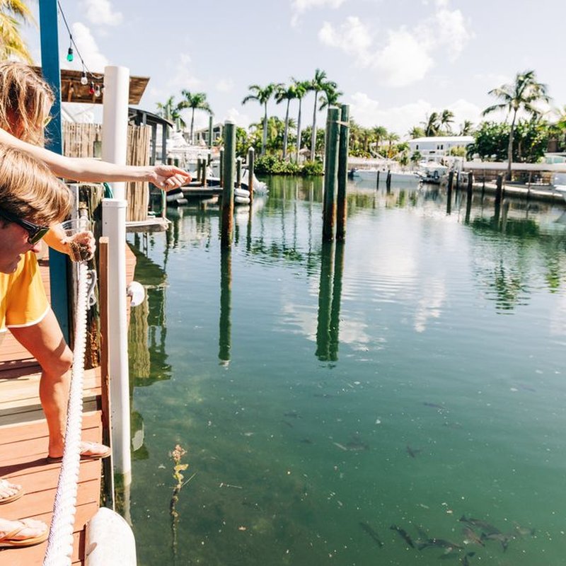 LIDO 73 - Updated October 2025 - 81 Photos & 58 Reviews - 90451 Old Hwy ...