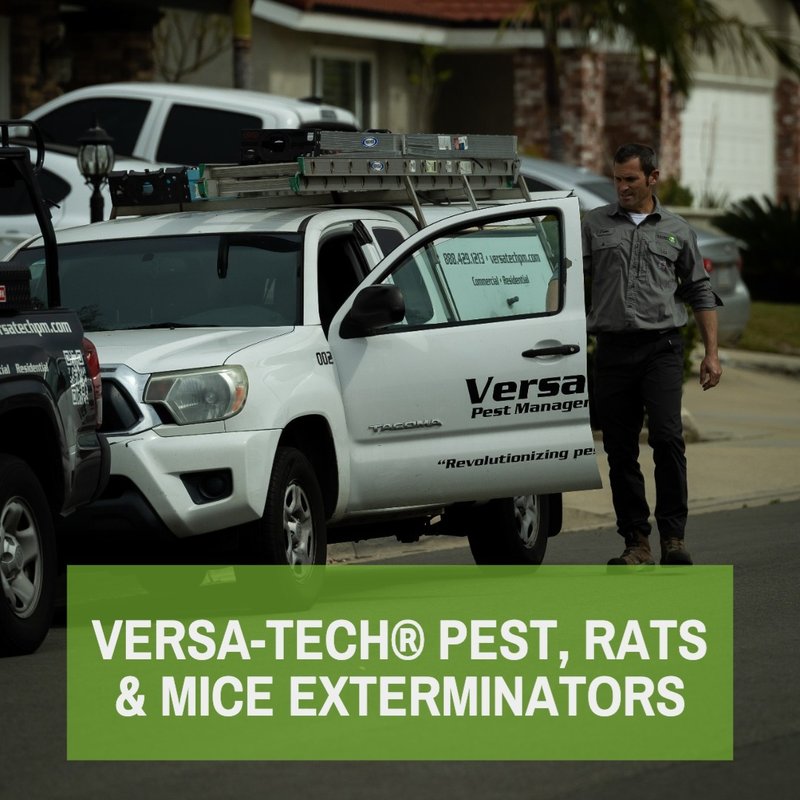 VERSA-TECH PEST MANAGEMENT - Updated December 2024 - 263 Photos & 204 ...