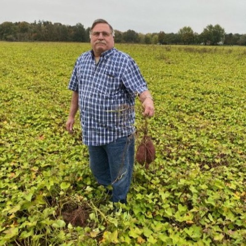 MUZZARELLI FARMS - Updated May 2026 - 47 Photos - 3460 Oak Rd, Vineland ...