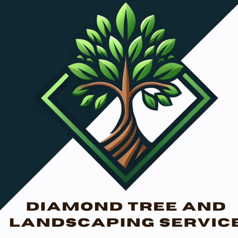 DIAMOND TREE & LANDSCAPING - Updated May 2024 - 26 Photos - Morrisville ...
