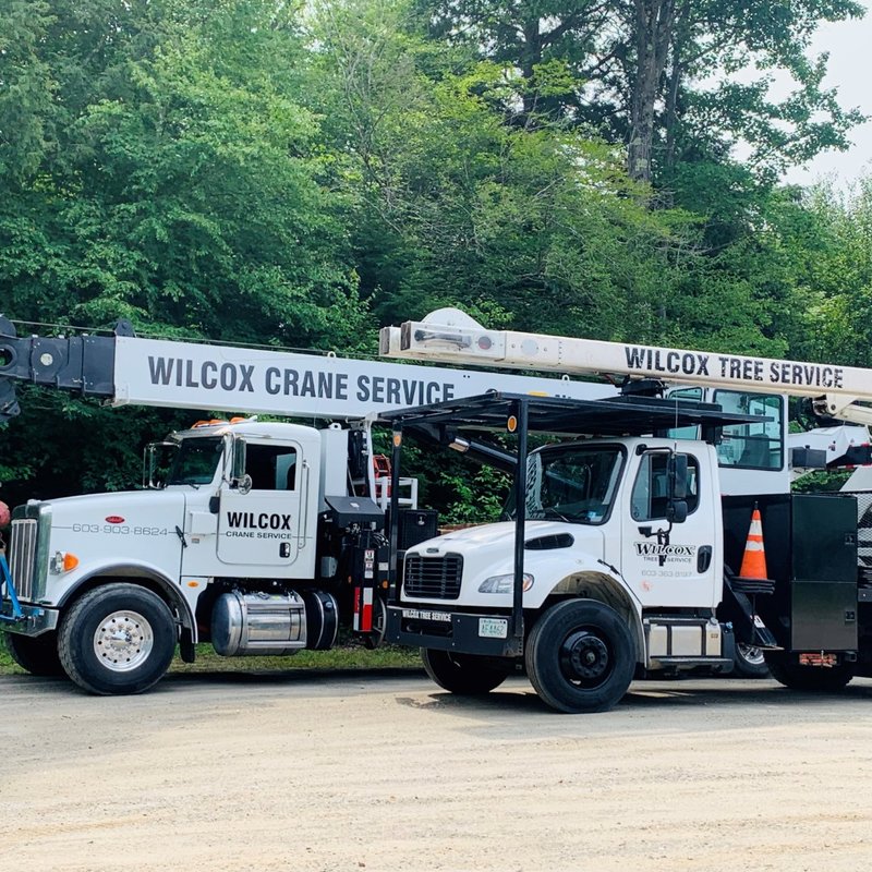 WILCOX TREE SERVICE - Updated December 2025 - 83 Photos - 923 Rte 12 ...