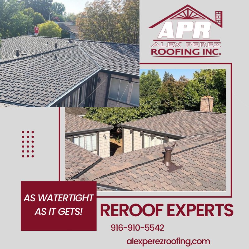 ALEX PEREZ’S ROOFING - Updated October 2024 - 1809 Photos & 274 Reviews ...
