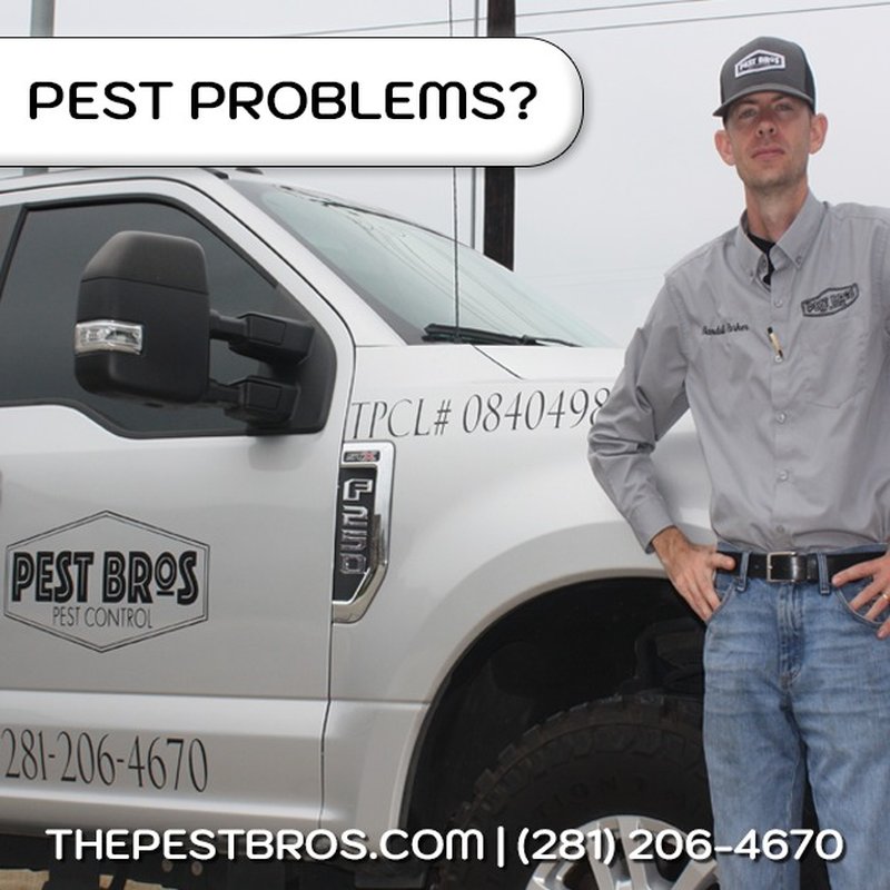 THE PEST BROS - Updated January 2026 - 12 Photos & 25 Reviews - 455 E ...