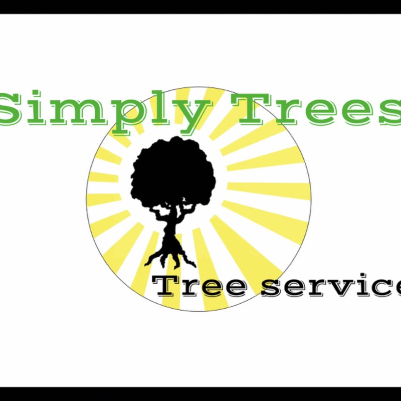 SIMPLY TREES - Updated September 2025 - 61 Photos & 137 Reviews - 1121 ...