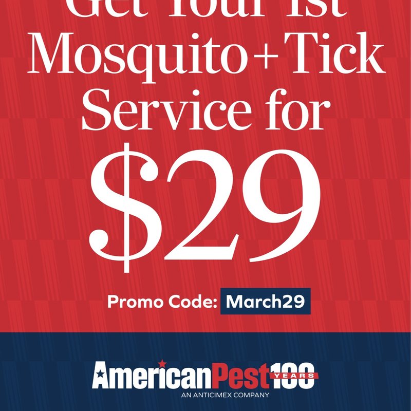 AMERICAN PEST - Updated December 2025 - 51 Photos & 311 Reviews - 11820 ...