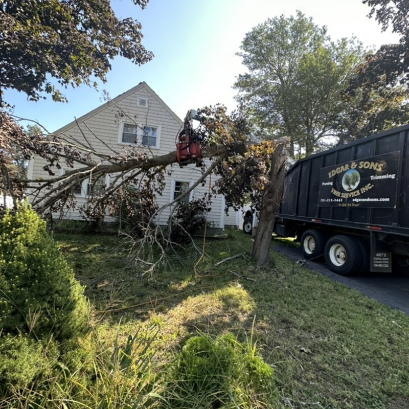 EDGAR AND SONS - Updated October 2025 - 96 Photos & 50 Reviews - 37 ...