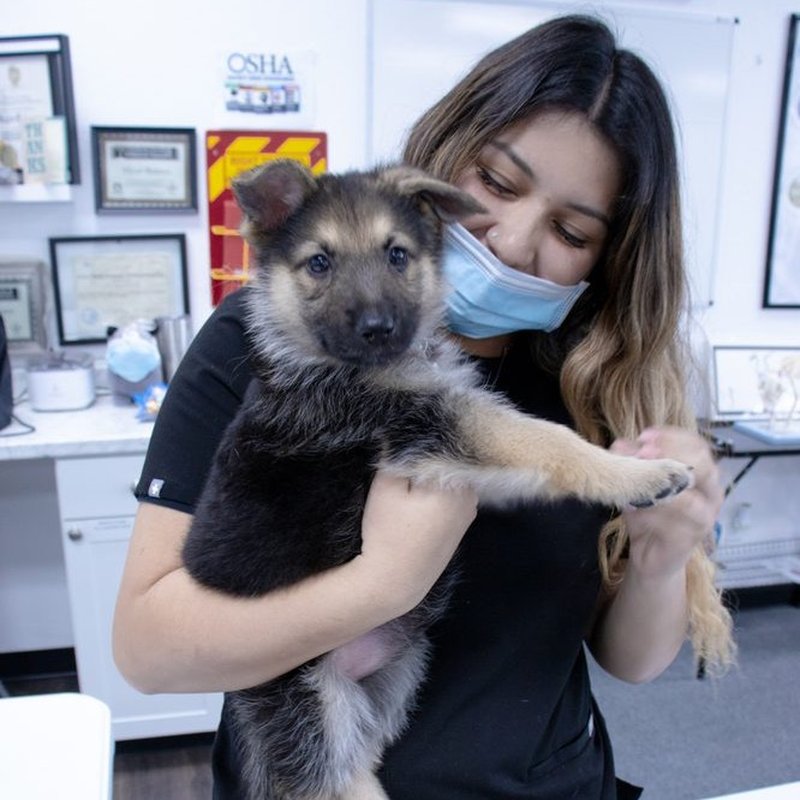 INTEGRITY COLLEGE OF HEALTH - Updated June 2026 - 49 Photos & 43 ...