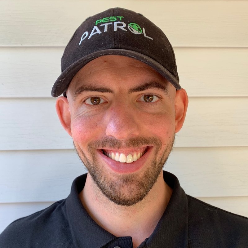 PEST PATROL - Updated November 2025 - 79 Photos & 30 Reviews - Portland ...