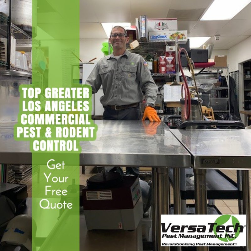 VERSA-TECH PEST MANAGEMENT - Updated December 2024 - 260 Photos & 204 ...