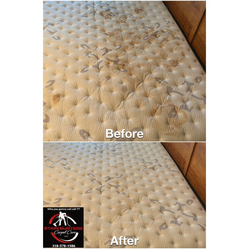 STAIN BUSTERS CARPET CARE - Updated December 2025 - 117 Photos & 78 ...